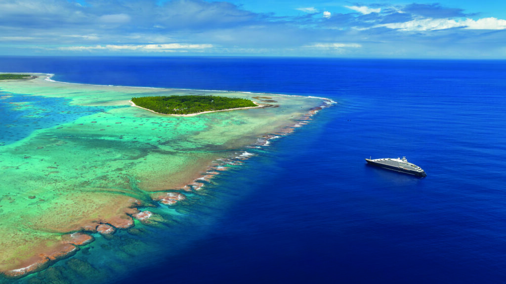 All-Around Wellness: For the Planet & Your Clients