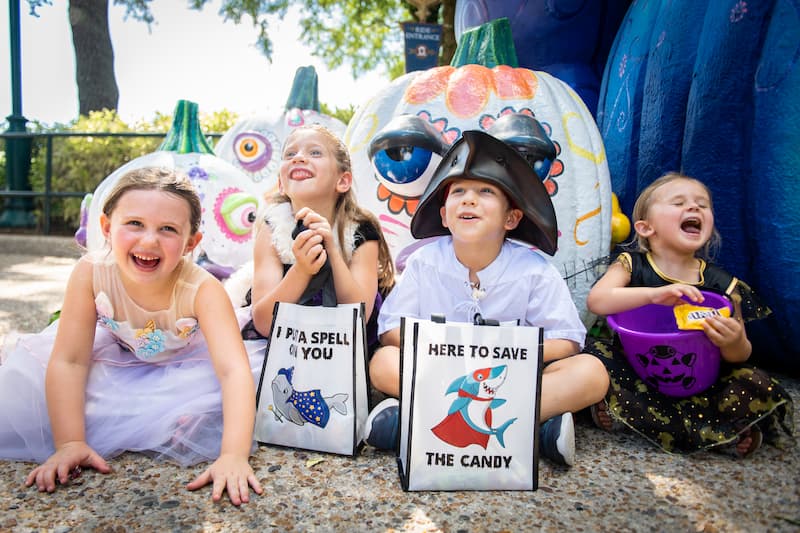 SeaWorld Orlando Announces 2026 Event Calendar and Fun Card Offer ...